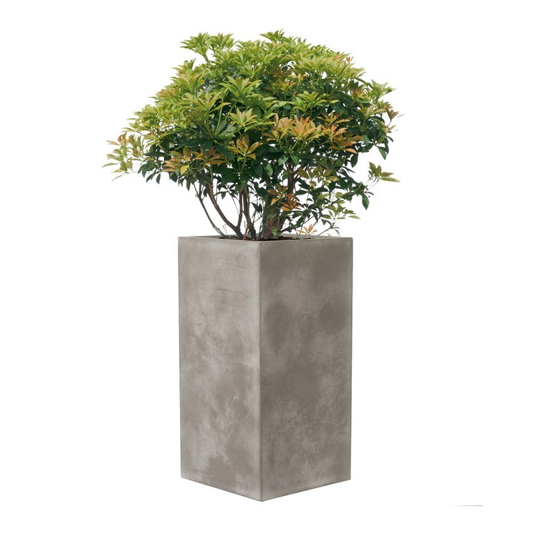 KIRSCHKE Gartentopf Pureline in grau kaufen